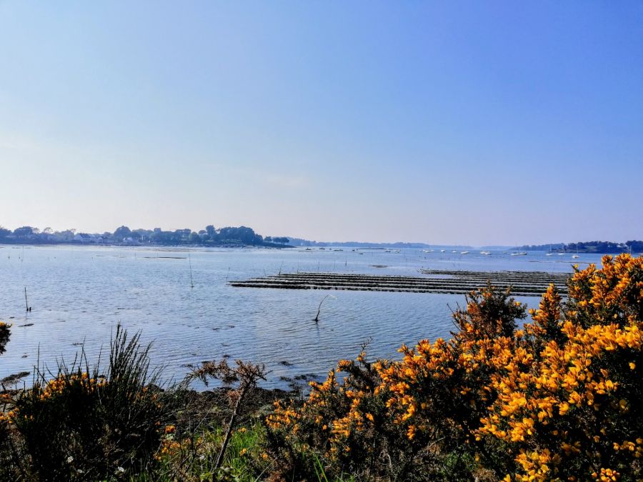 PROMENADE DANS LE GOLFE DU MORBIHAN LE LONG DU PORT DU LOGEO à SARZEAU ...